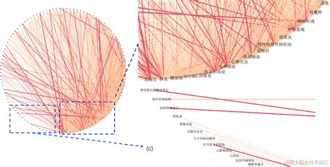 数据挖掘 疾病关联网络构建及并发症预测模型 拓端数据 Segmentfault 思否