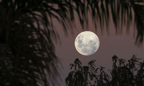 La Magia Lunar Cómo Aprovechar El Poder De La Luna En Diferentes Fases