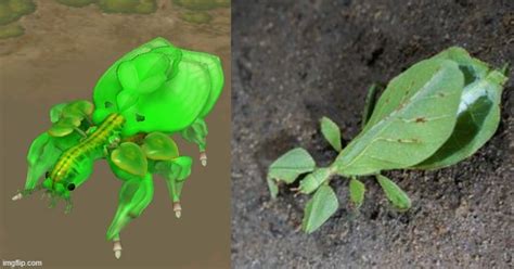 Multiple Accurate Looking Insect Species I Made In Sporereal Life
