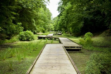 君津市／清水渓流広場農溝の滝・亀岩の洞窟周辺の風景｜フォトダウンロード｜千葉県公式観光サイト ちば観光ナビ