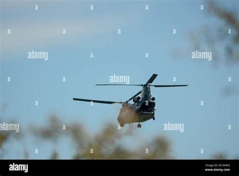 Raf Boeing Ch 47 Chinook Tandem Rotor Helicopter Flying Fast And Low In A Blue Sky On A Military