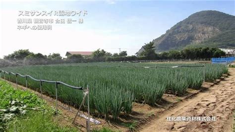 Sumisansui R Wide Soft Spray Type Irrigation Materials Products