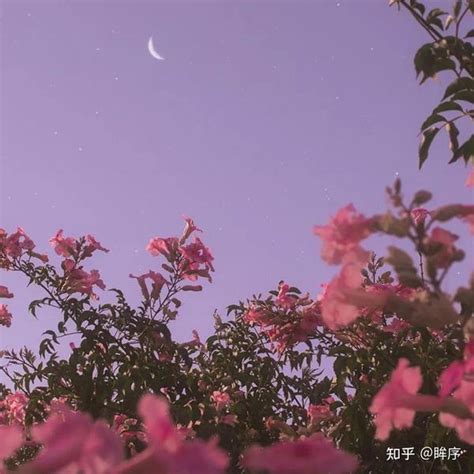 正确的恋爱观是什么样的？ 知乎