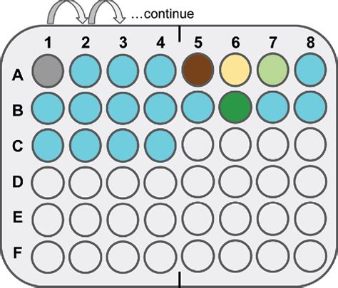 Figure 1 From Whole Mount Staining Of Lenses For Visualization Of Lens