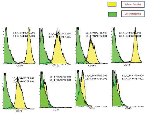 Adipose Derived Mesenchymal Stem Cells Flow Cytometry Download