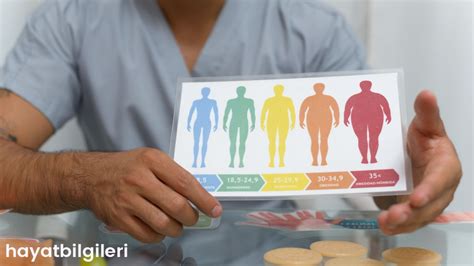 Body Mass Index Height Weight Index Calculation Life Sciences