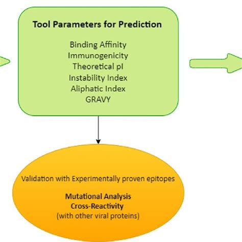a schematic representation of the neural network based prediction
