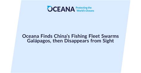 Oceana Finds Chinas Fishing Fleet Swarms Galápagos Then Disappears