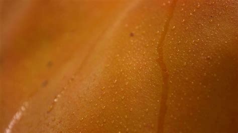 【注意】太ももにピリピリコリン性蕁麻疹の意外な盲点