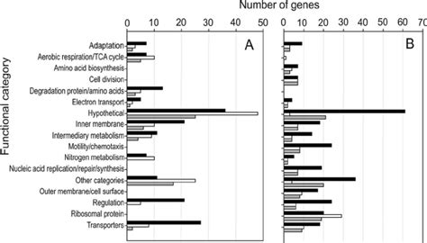 Hierarchical Gene Tree Of Expression From 13 Experiments Over The