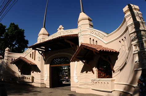 Ead Pucpr Como Funciona