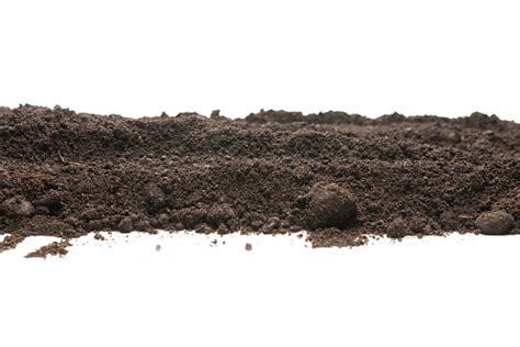 흰색 배경에 고립 된 식물을위한 검은 땅 0명에 대한 스톡 사진 및 기타 이미지 0명 가뭄 개념 Istock