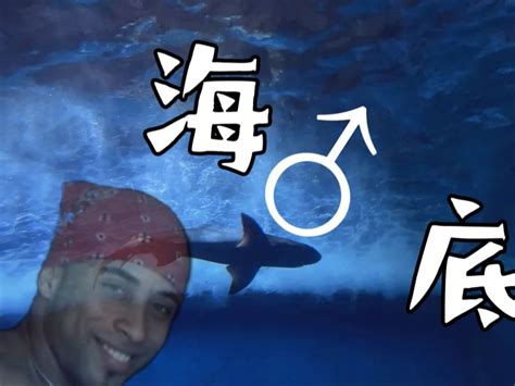 哲学老van家看哭幻想乡所有boy 世纪城版 歌单后台播放就行 哔哩哔哩视频