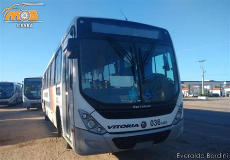 Chegam Mais ônibus Novos Na Empresa Vitória
