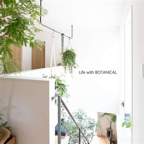 興和テクノホーム 京都滋賀で建てる注文住宅 on Instagram 吹き抜けを利用して大きな樹を置いてみましょうというのを