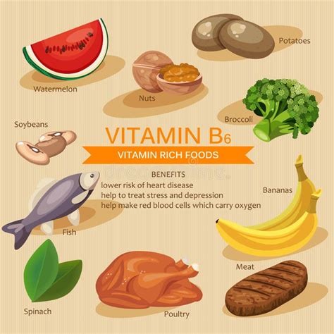 Vitamins And Minerals Foods Illustration Vector Set Of Vitamin Rich