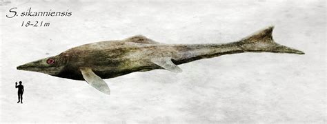 Shastasaurus Shonisaurus Sikanniensis By Titanlizard On Deviantart