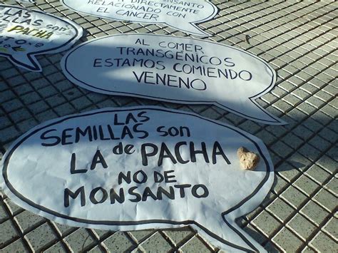 Nueva Ley De Semillas Encarecerá Los Alimentos” Biodiversidad En