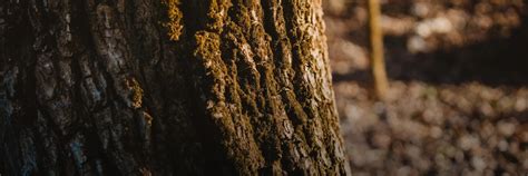 Sustainability Performance Data Central Pattana