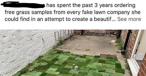 The Grass Is Greener When Its Free Album On Imgur