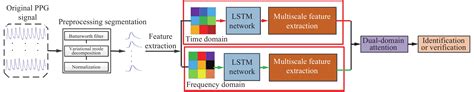 Dual Domain And Multiscale Fusion Deep Neural Network For PPG Biometric