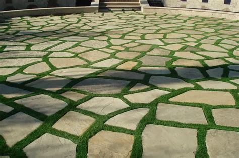 Can You Grow Grass Between Pavers And How Clever Patio