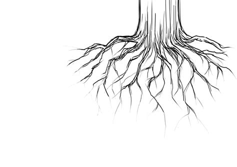 How To Draw Roots On A Tree Drawing Word Searches