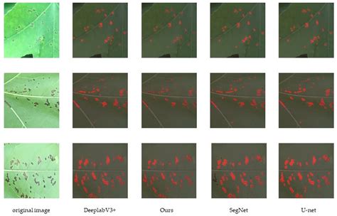 Comparison Diagram Of The Segmentation Effect Download Scientific Diagram