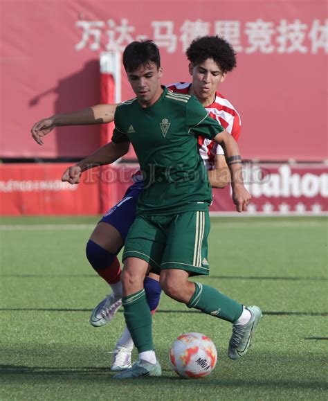 Img 0534 Jorge Collado Flickr