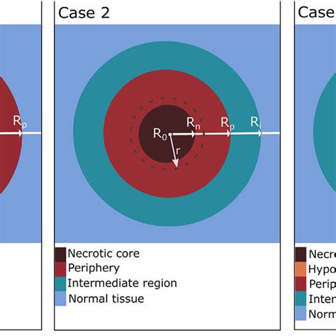 Examples Of Triangular Meshes Generated By The Triangle Grid Generator Download Scientific