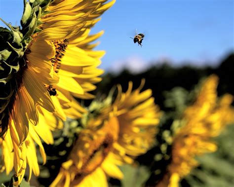 Frank Tirrell Frank Tirrell Added Photos To The Album Facebook