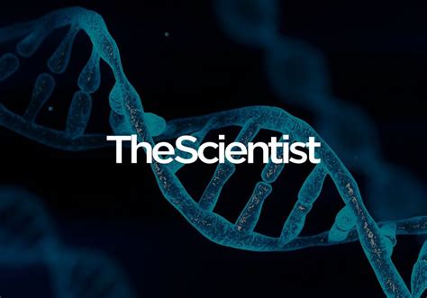 A Deep Dive Into Optimizing Results From Saliva Derived Dna The Scientist