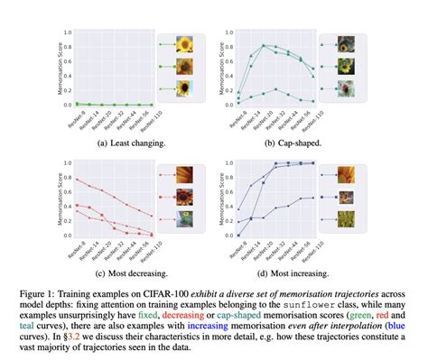 Deciphering Memorization In Neural Networks A Deep Dive Into Model