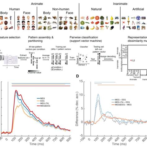 Classification Of Single Images From Eeg And Meg Signals A The Image