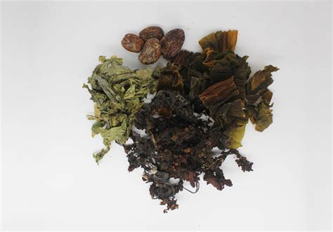 昆布海草 海草海草 海草海底 第10页 大山谷图库