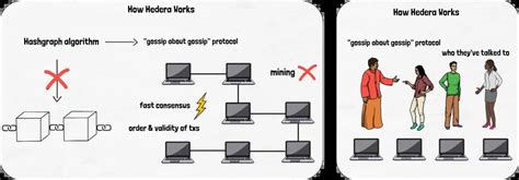 Hedera Hashgraph And Hbar Explained • Iexplaincrypto