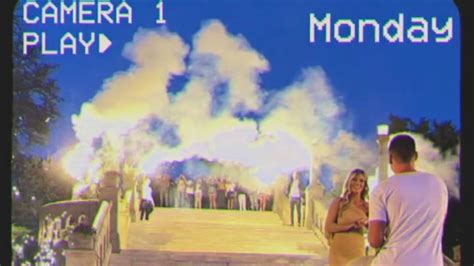 Nemanja Brankovic Andjela Manitasevic Pol Bebe Cerka Kalemegdan Veridba Blic