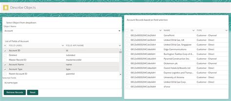 exploring on salesforce describe objects and retrieve records using