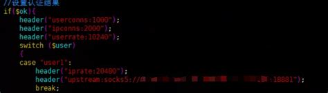 Api认证时udp通信时导致程序异常退出 · Issue 503 · Snail007goproxy · Github