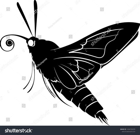 Silhouette Flying Moth Graphic Drawing Vector Stock Vector Royalty
