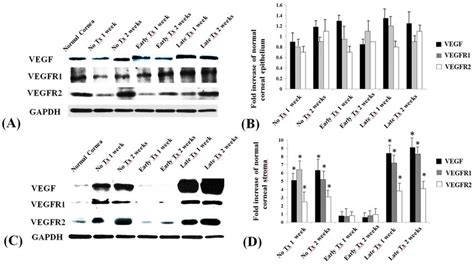 Quantification Of Vegf Vegfr1 And Vegfr2 Expression Levels On Corneal