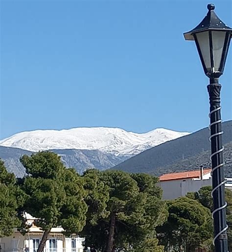 ΕΠΙΚΟΥΡΟΣ ΙΤΕΑΣ ΠΛΗΣΙΑΖΟΝΤΑΣ ΤΙΣ ΑΠΟΚΡΙΕΣ