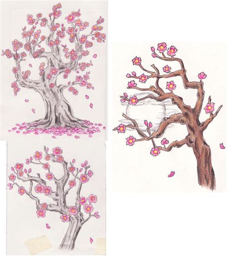 Cherry Tree Sketch At Explore Collection Of Cherry