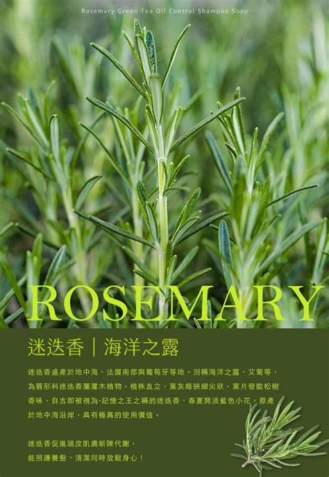迷迭香洗髮皂 控油專用 阿皂屋 胺基酸手工皂香皂無皂鹼肥皂單複方精油