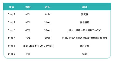 Pcr Tips