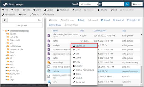 How To Migrate Emails From CPanel To CPanel In