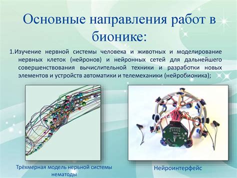 Бионика. Применение - презентация онлайн