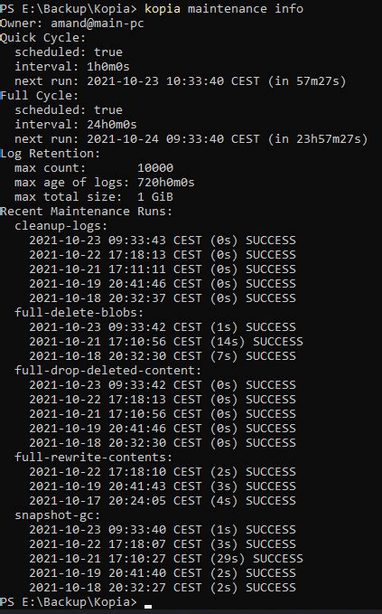 Maintenance Not Running Correctly Automatically · Issue 1439 · Kopiakopia · Github