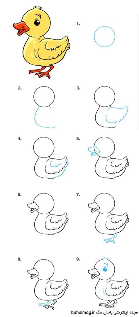 نقاشی کودکانه جوجه ️ بهترین تصاویر