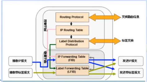 52、mpls工作原理disp Mpls Route State Csdn博客